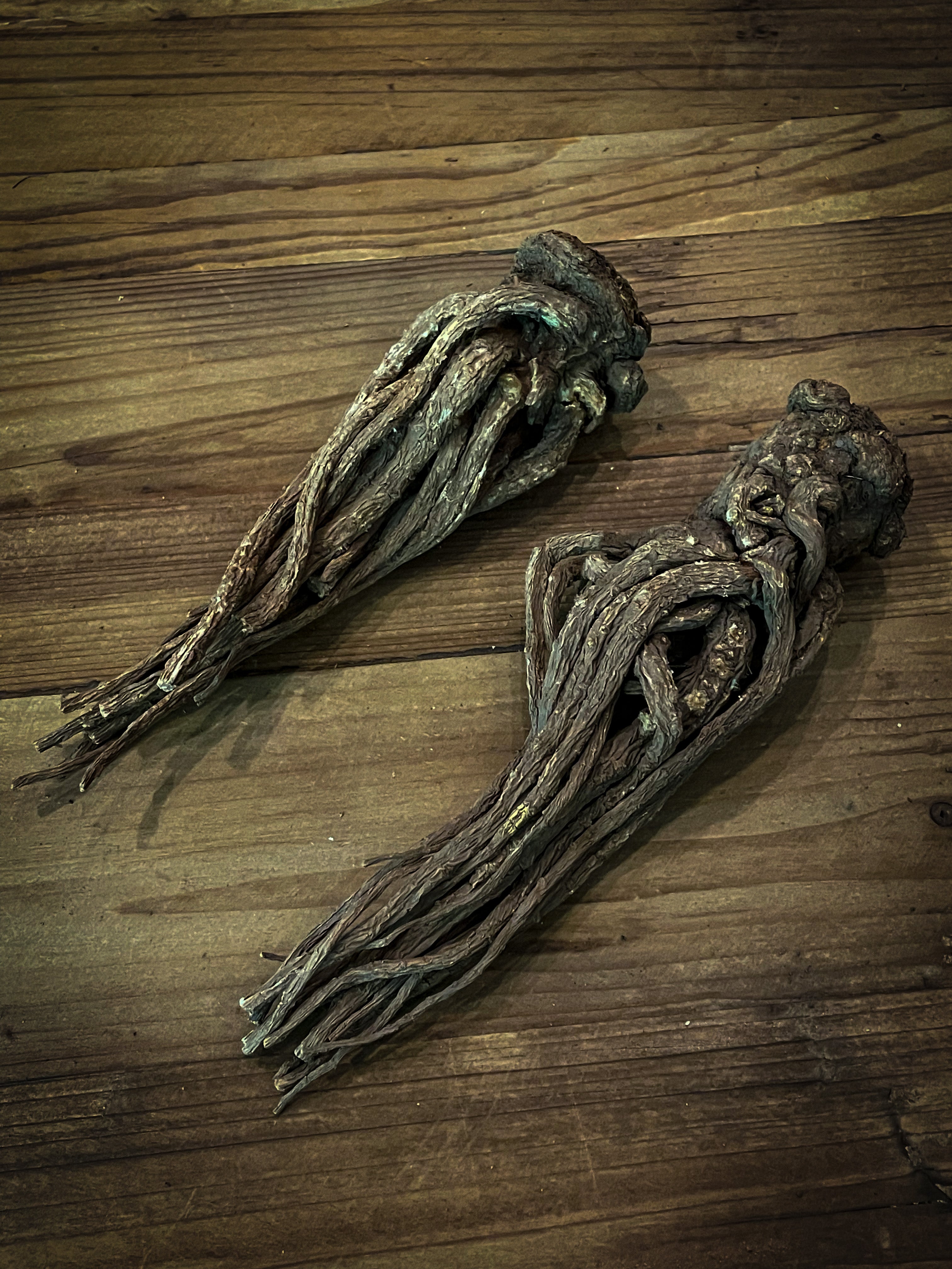 Master Root – Elfhame