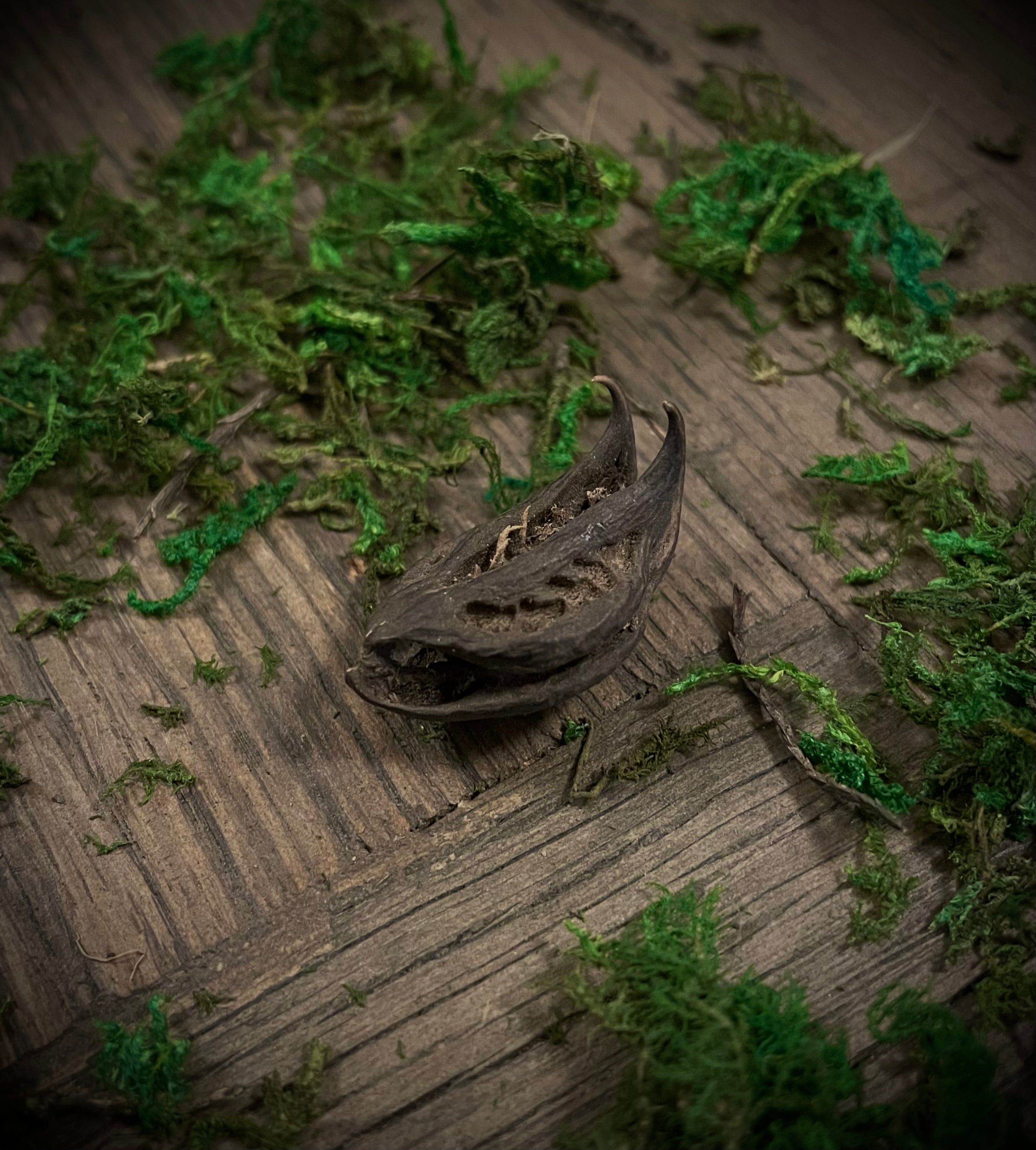 Bats Head Root – Elfhame